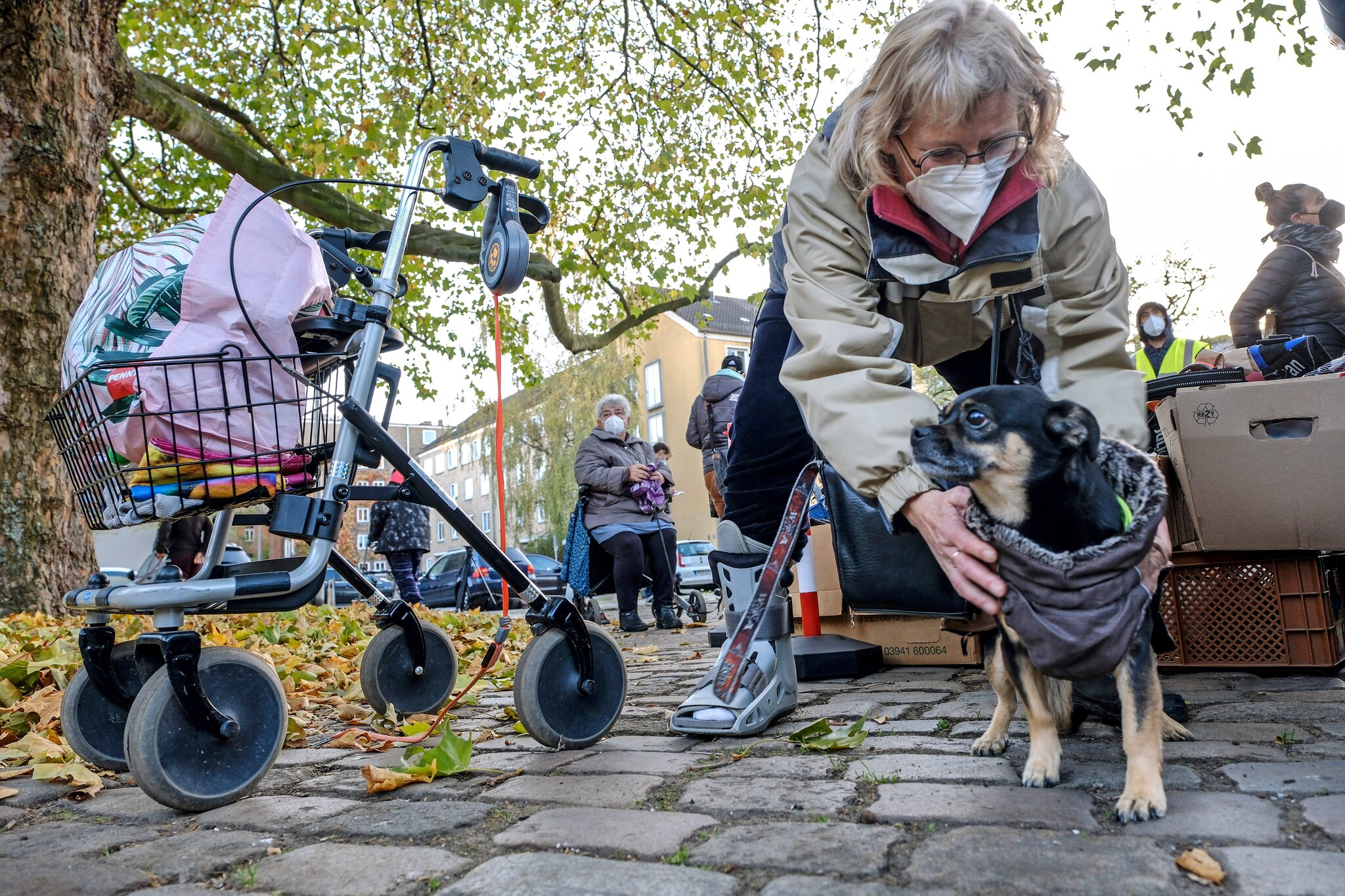 Unterwegs mit dem Tierarztmobil: «Der Hund ist mein Leben»