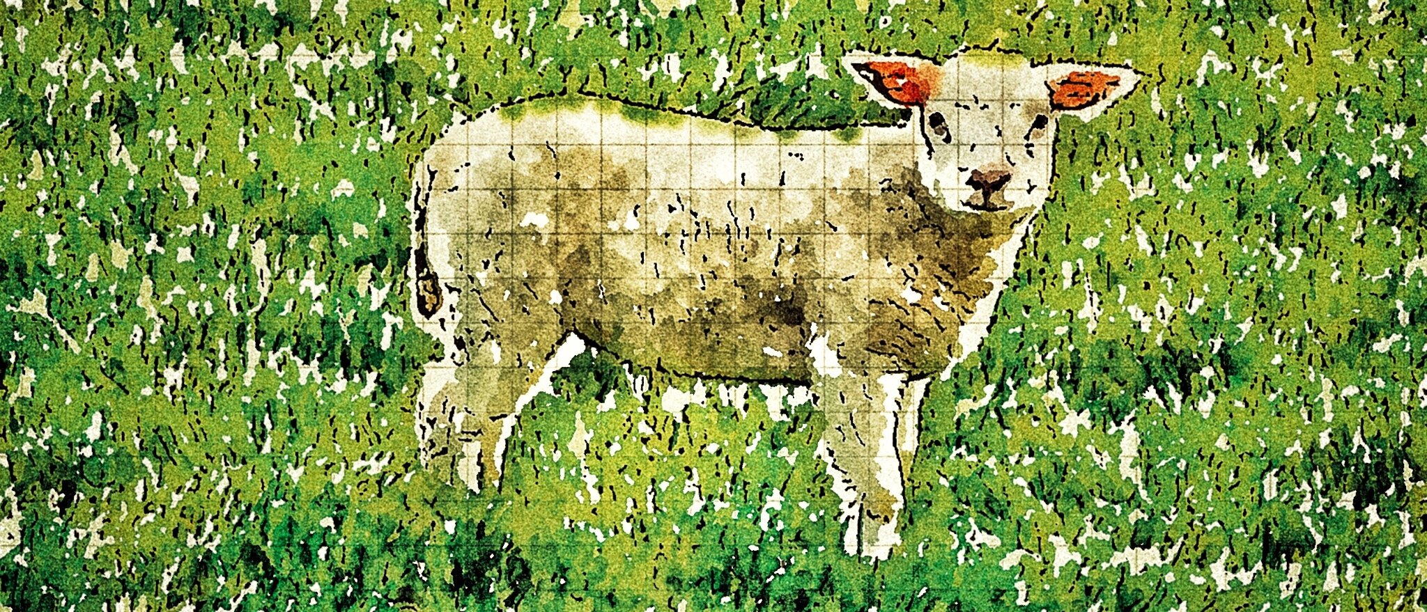 das Lamm: Geburtstagsgabe (27) - Sonneberg